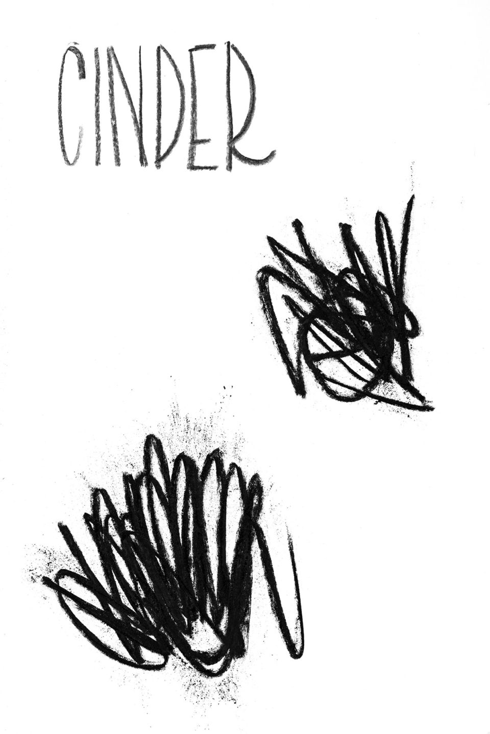 Igniting New Restaurant Branding for Cinder House