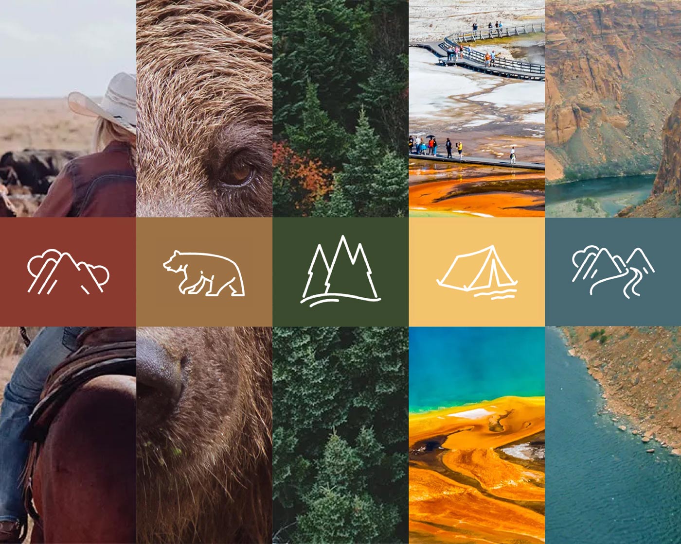 Designing a Better Tomorrow: How PERC.org Became User-Friendly | Atomicdust